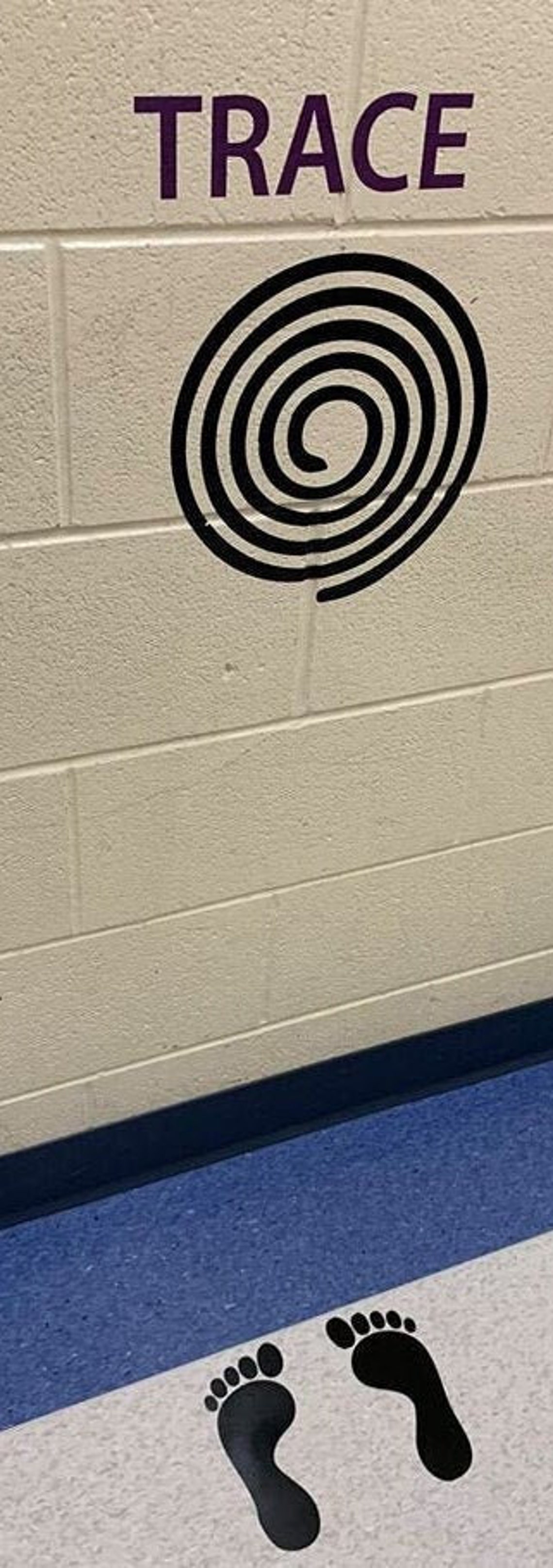 Trace - Sensory Path, Sensory, Wall Decals, Educational Decal, School ...