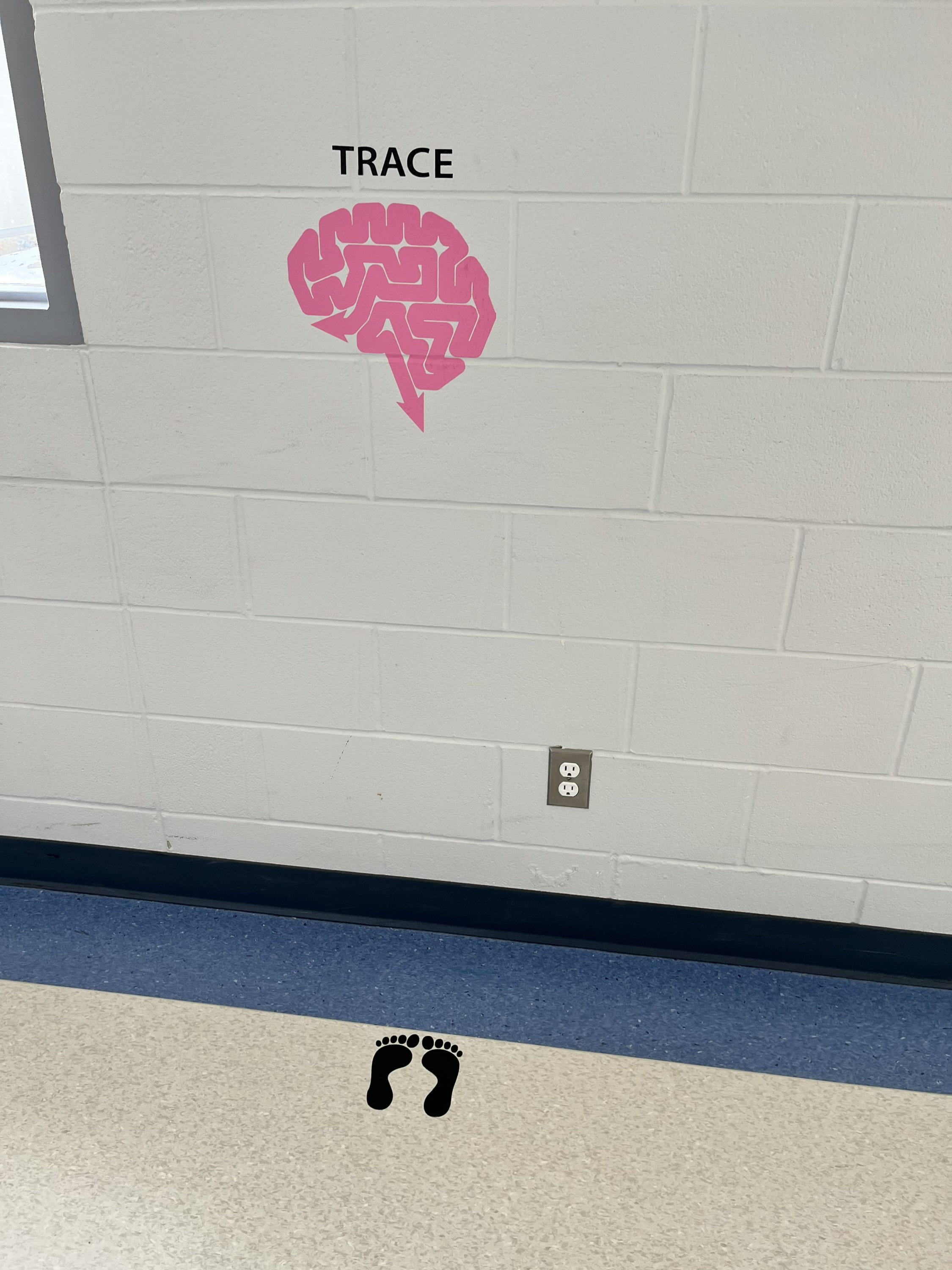 Brain Trace - Etsy