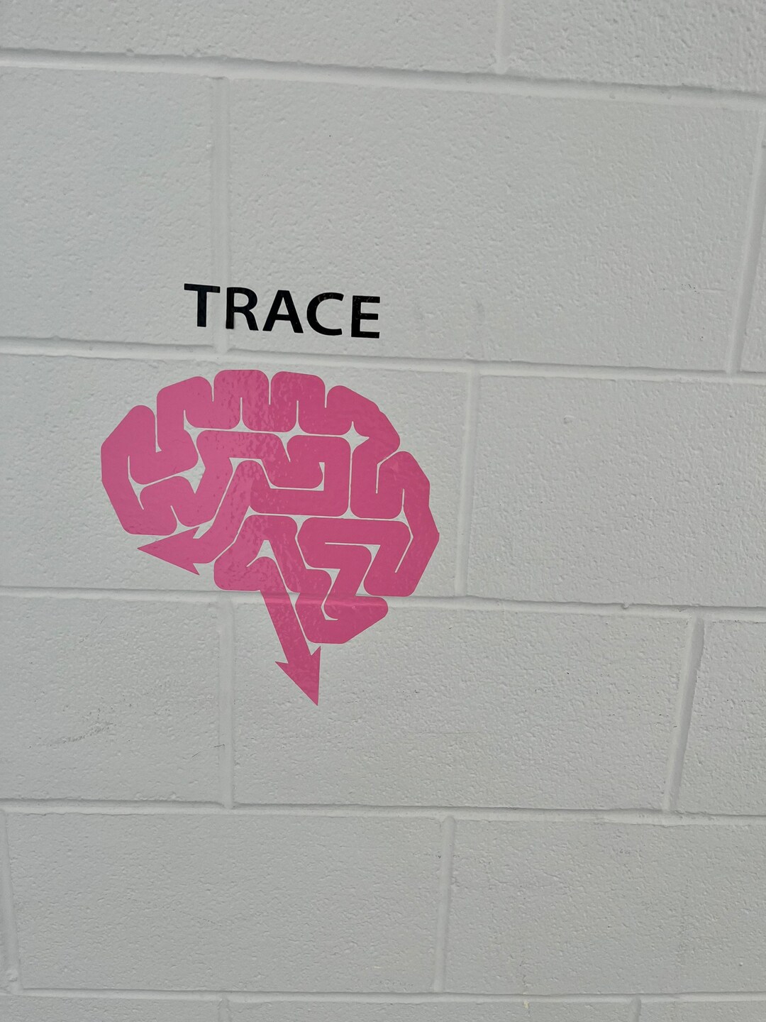 Brain Trace - Etsy