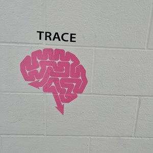 Trace Sensory Path, Sensory, Wall Decals, Educational Decal, School ...