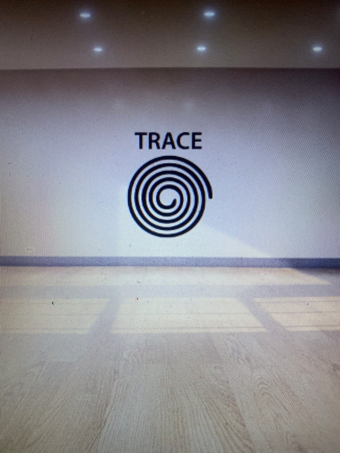 Trace - Sensory Path, Sensory, Wall Decals, Educational Decal, School ...