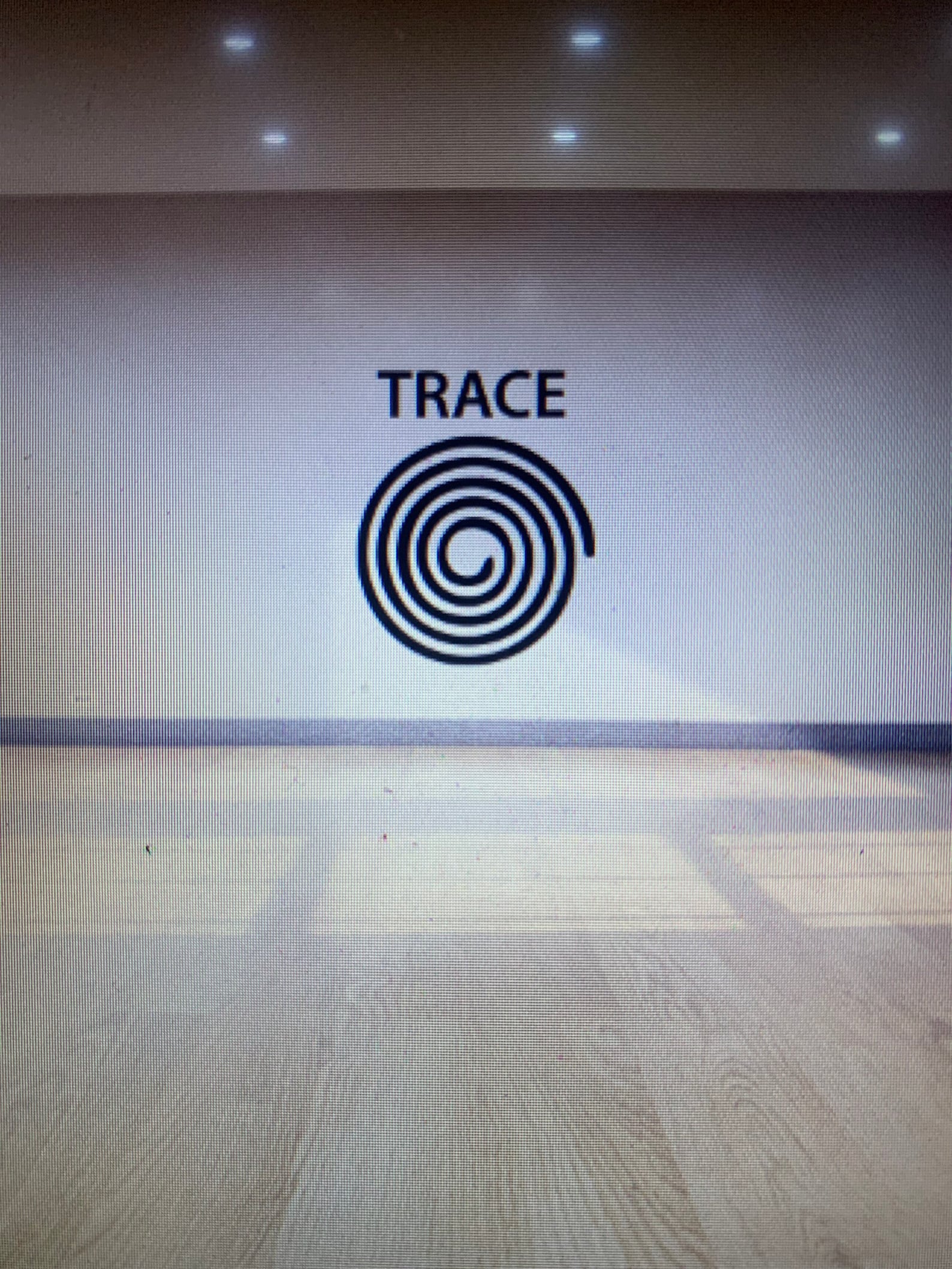 Trace - Sensory Path, Sensory, Wall Decals, Educational Decal, School ...