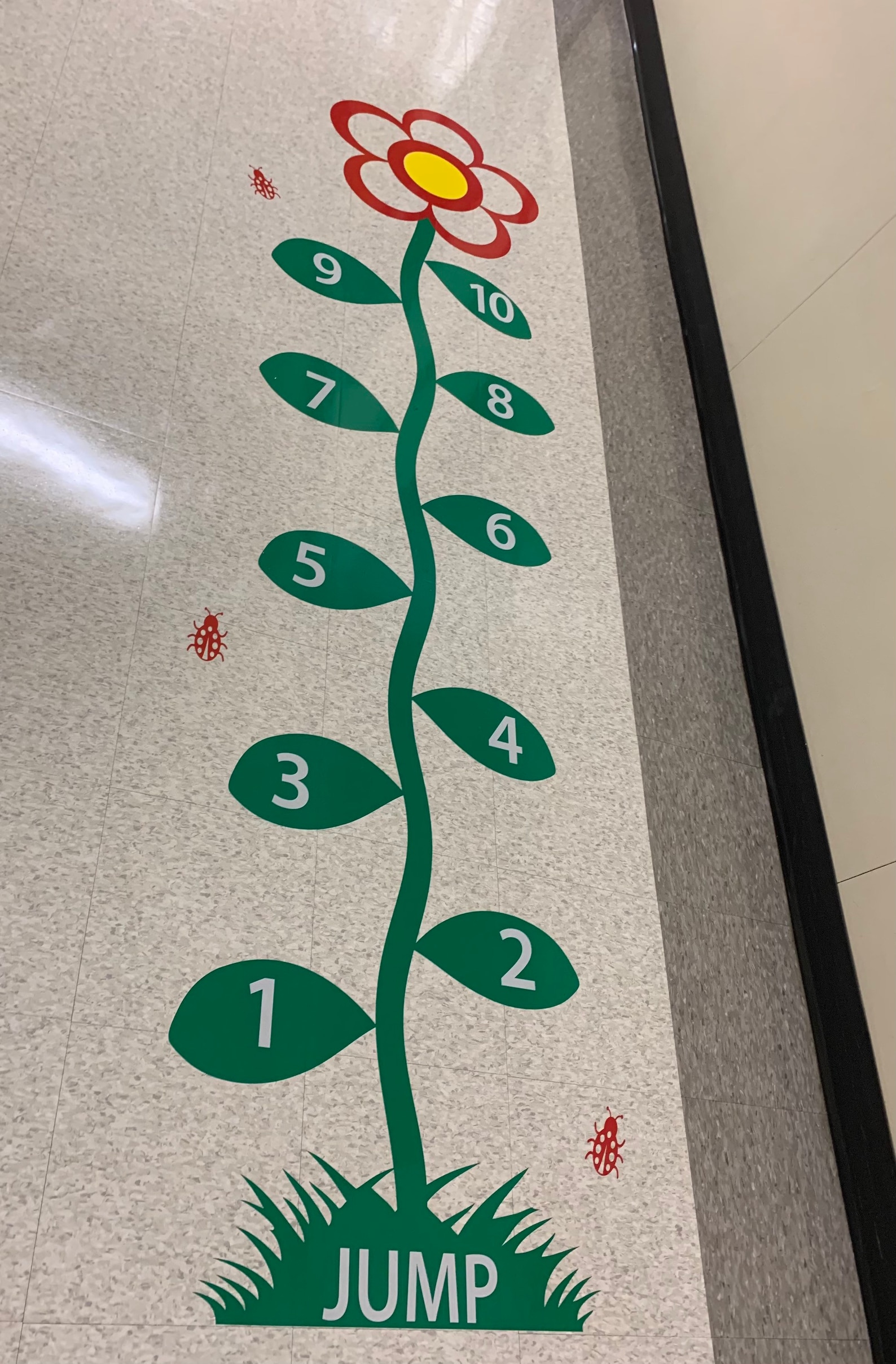 Flower, Sensory Path, Sensory, Wall Decals, Educational Decal, School ...