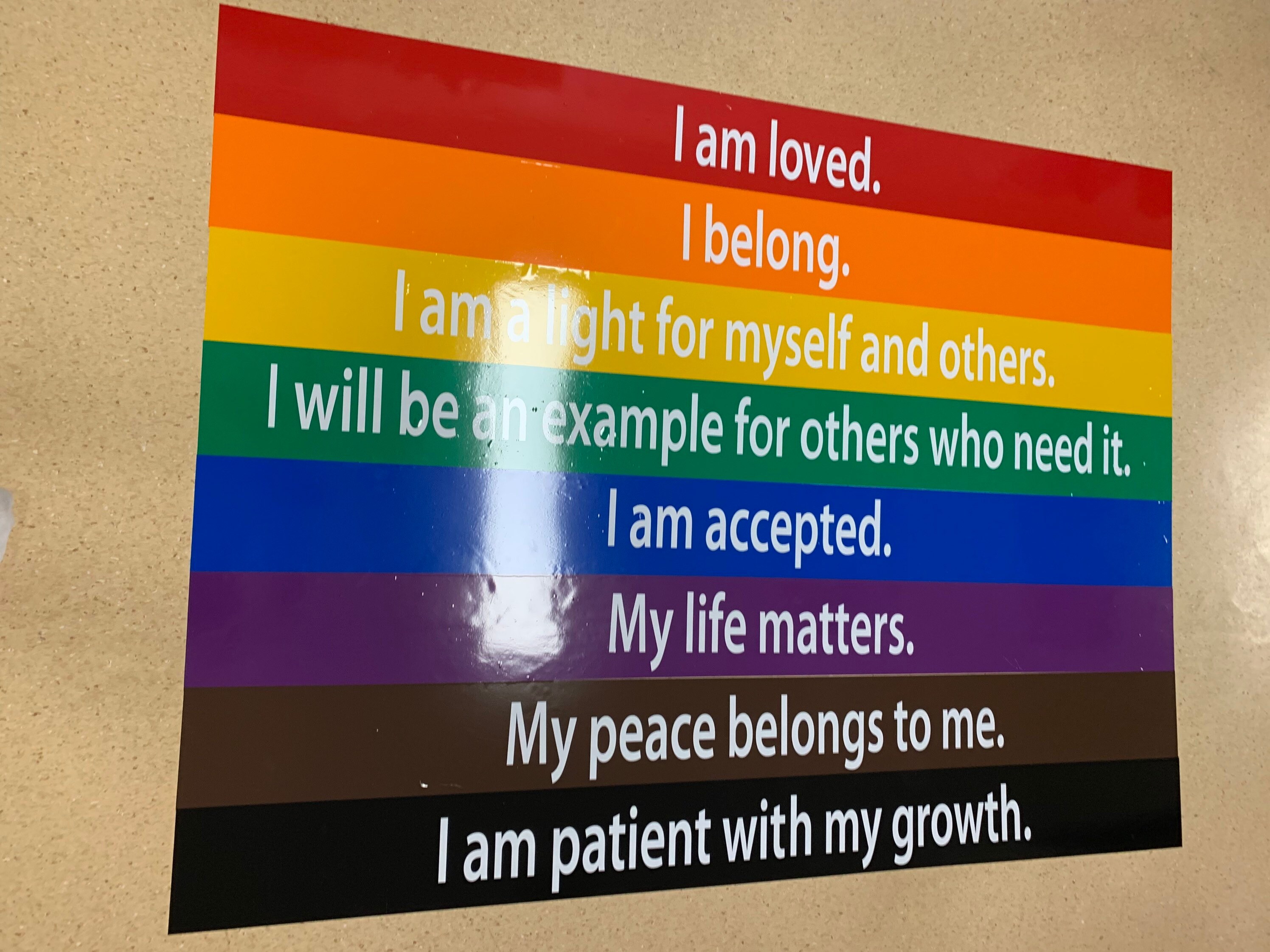Rainbow Pride Affirmations Decal - Etsy