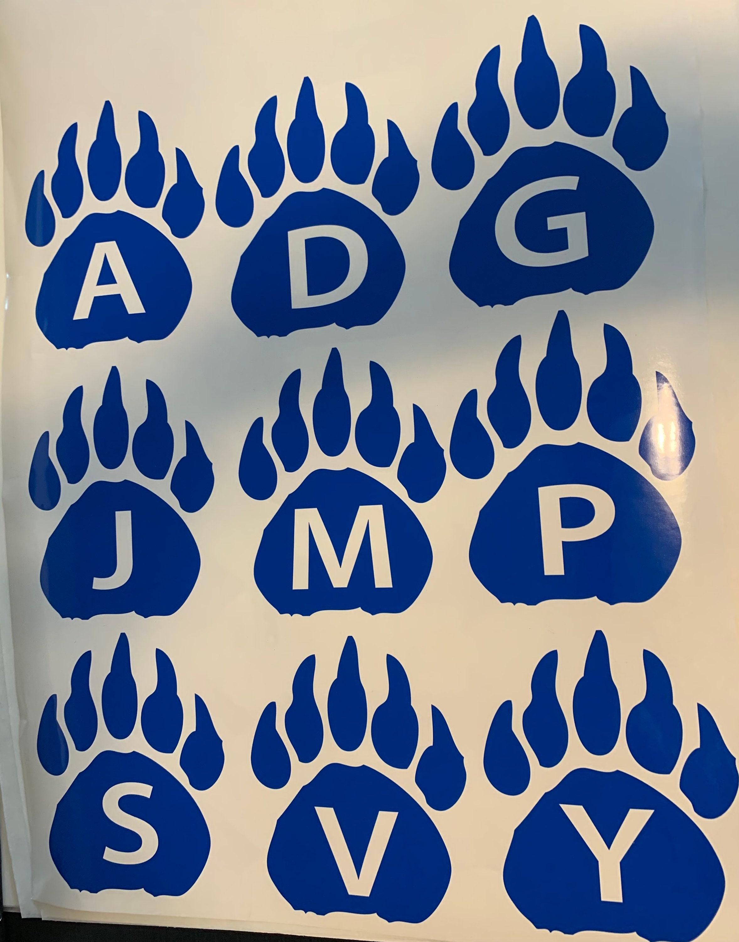 ABC Paw Prints, Sensory Hopscotch Path, Alphabet Print Decor, ABC Decal ...