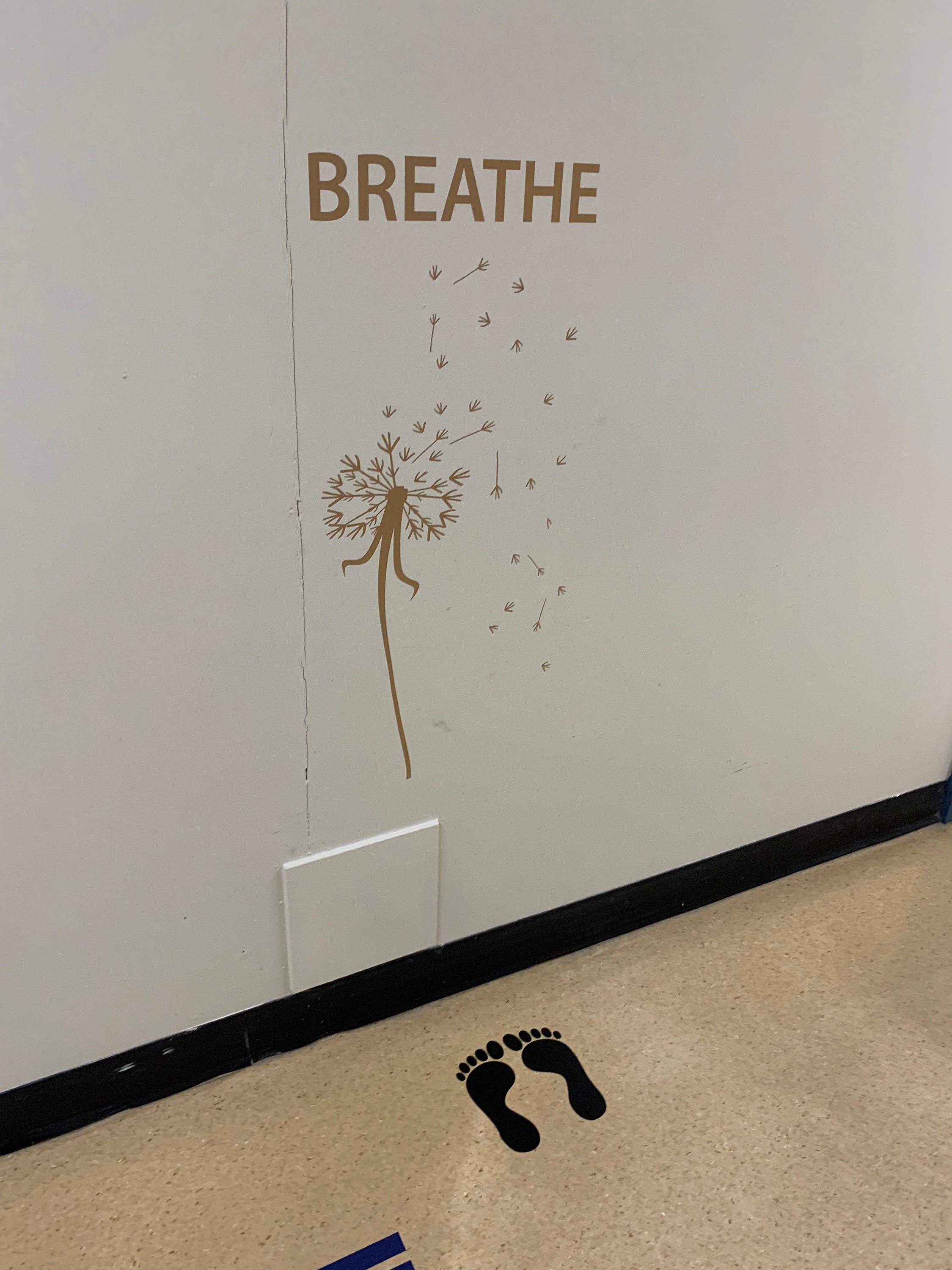 Breathe Dandelion, Sensory Path,sensory, Wall Decals, Educational Decal ...