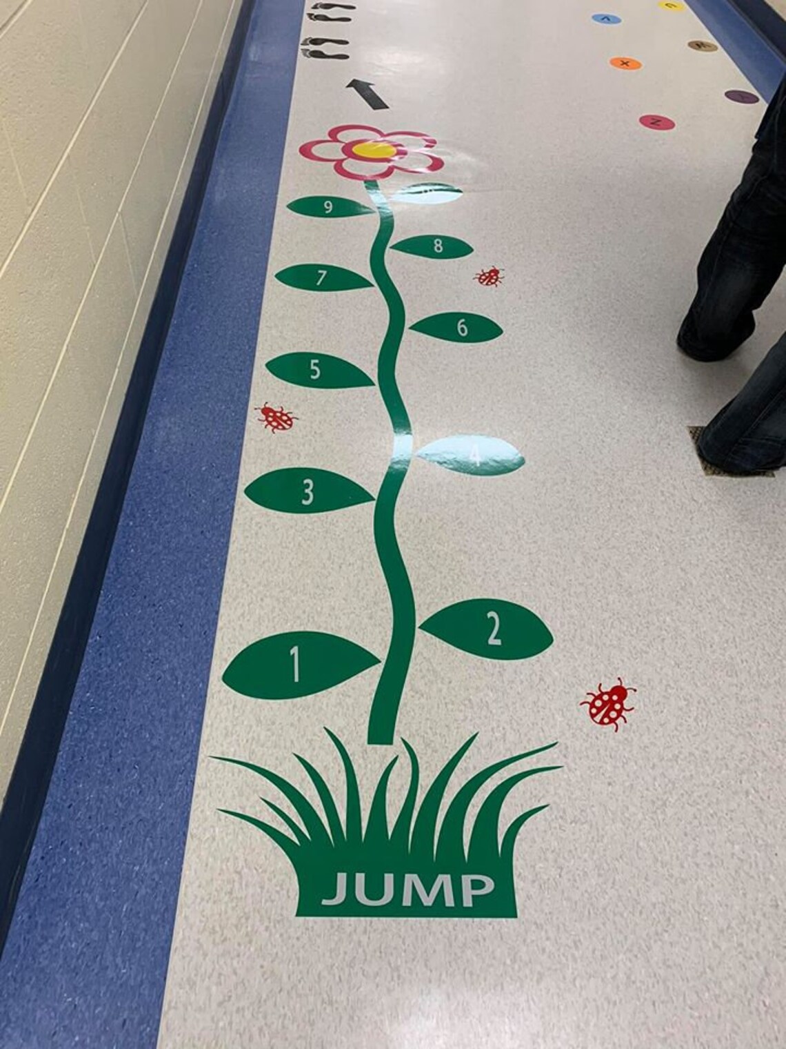 Full Path (seen on Viral Video) Sensory Path, Sensory, Wall Decals ...