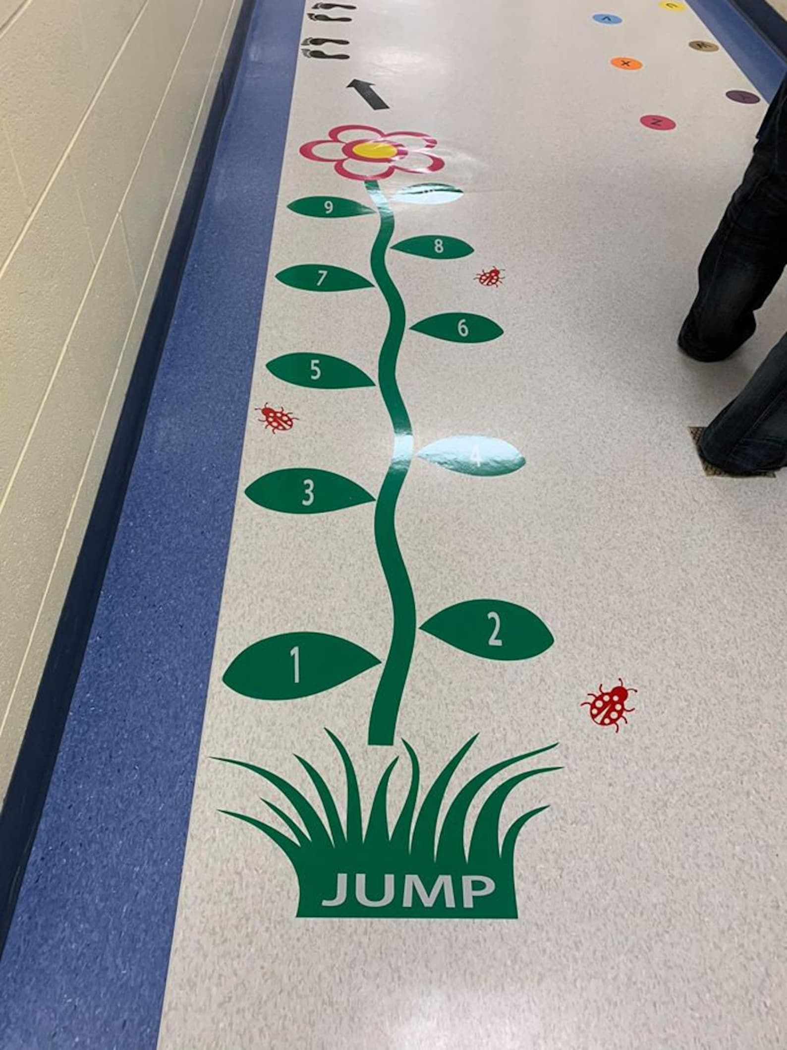 Full Path (seen on Viral Video) Sensory Path, Sensory, Wall Decals ...