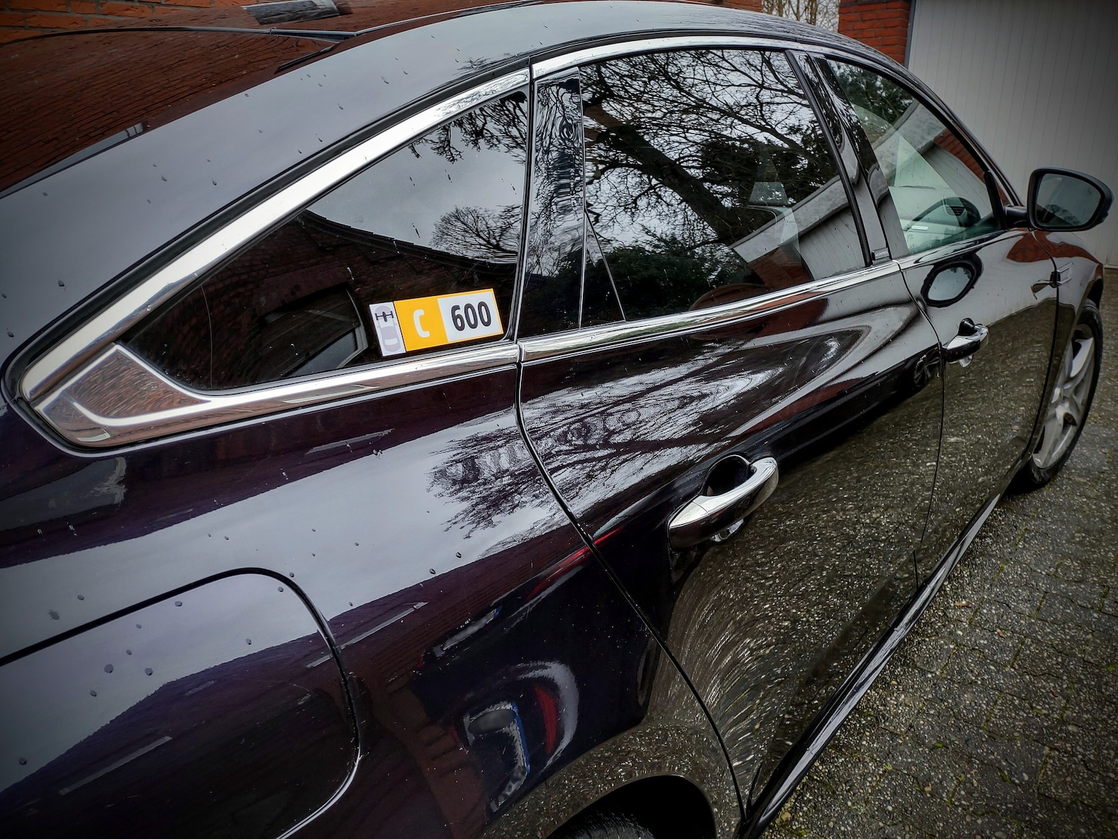 CLEARANCE SALE Forza Horizon 5 Vinyl Car Decal All Class - Etsy