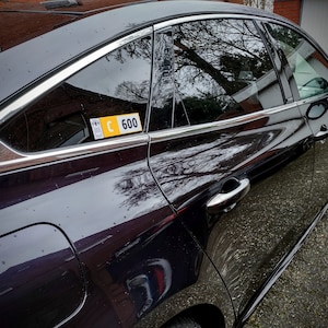 CLEARANCE SALE Forza Horizon 5 Vinyl Car Decal All Class Engine Drive ...