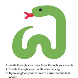 Animal Breathing Posters - Etsy