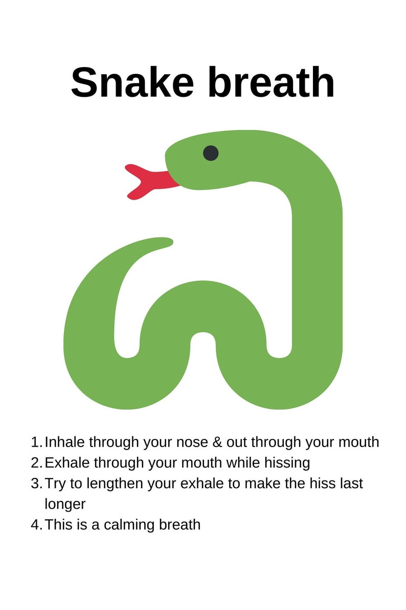 Animal Breathing Posters - Etsy