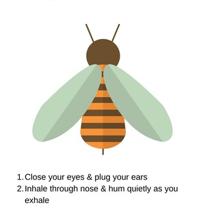 Animal Breathing Posters - Etsy