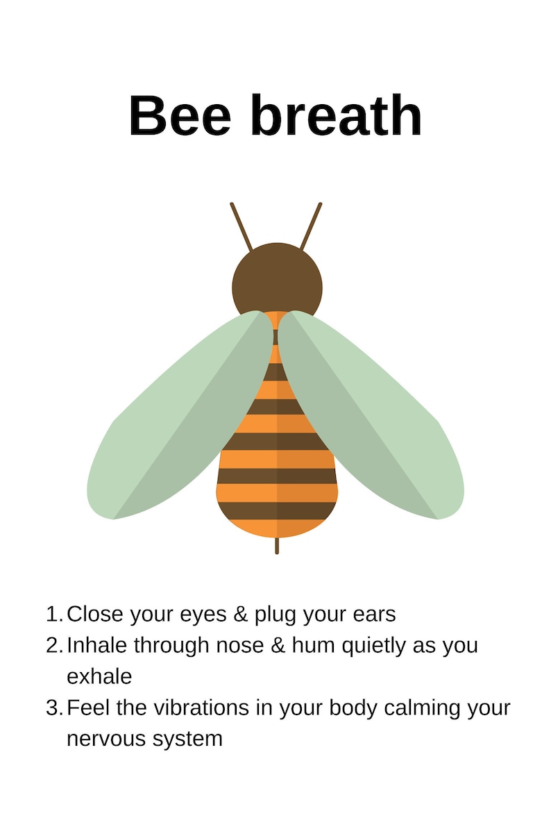 Animal Breathing Posters - Etsy