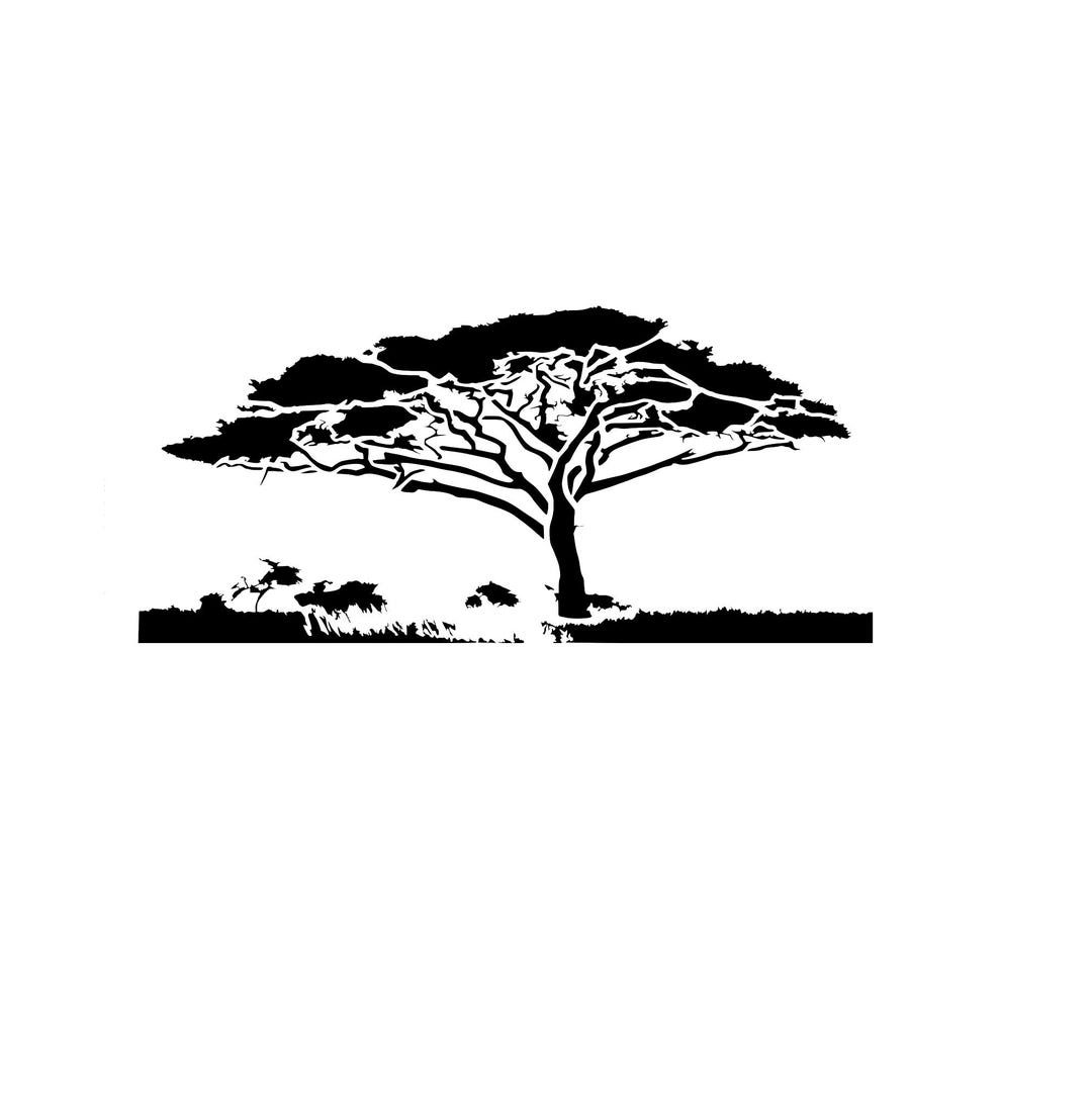 Acacia Tree Stencil Template Digital Download SVG & PNG Cut Files - Etsy