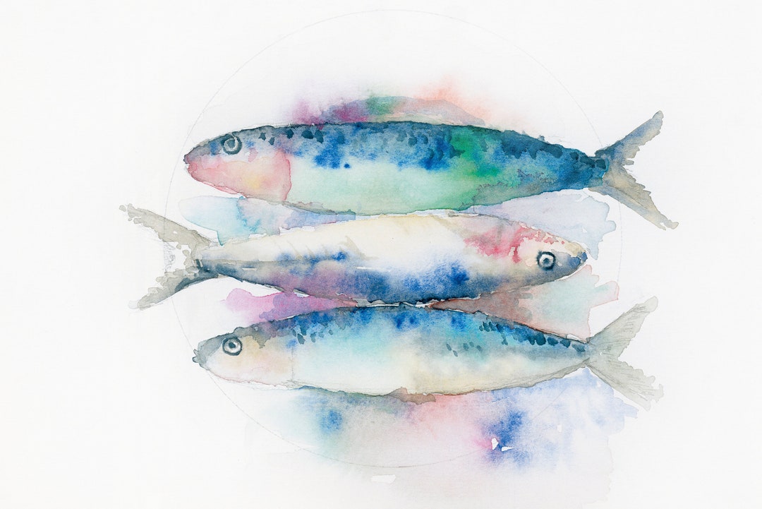 Like Canned Sardines, Sardines, Watercolor, Watercolor, Fish, Maritime ...
