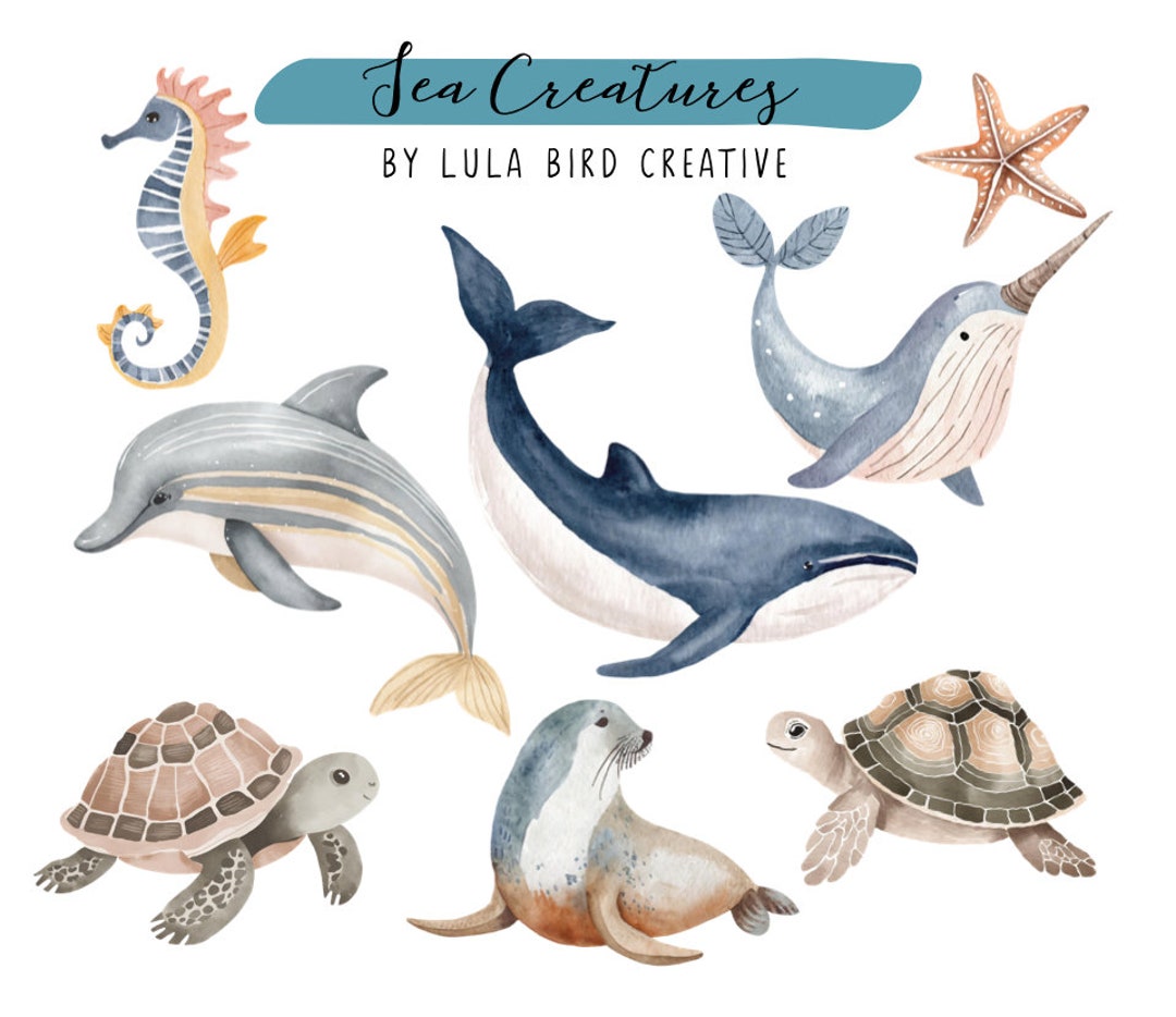 Watercolour Sea Creatures Clipart Set Watercolour Whale, Narwhal ...
