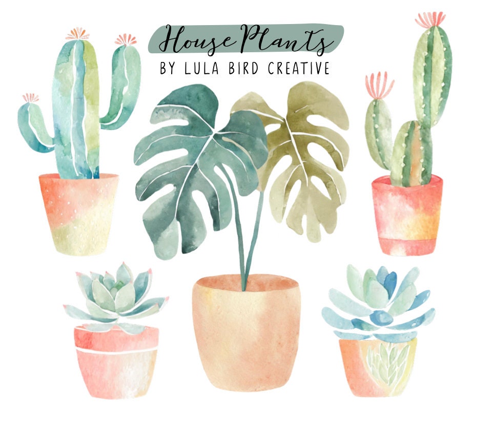 Watercolour House Plant Clipart Set Commercial Use Allowed Monstera ...