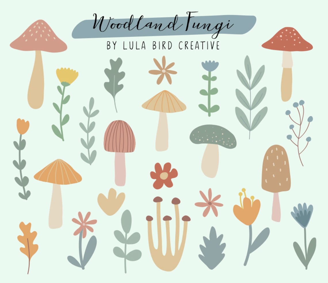Woodland Fungi Clipart Set - Mushrooms, Toadstools, Foliage and Flowers ...