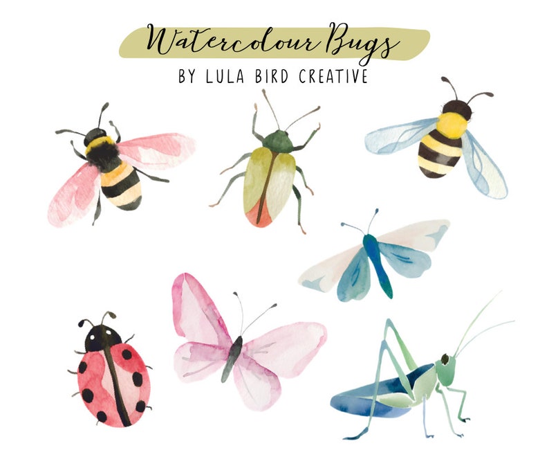 Watercolour Bugs Clipart Set - Bee Clipart, Ladybird Clipart, Butterfly ...