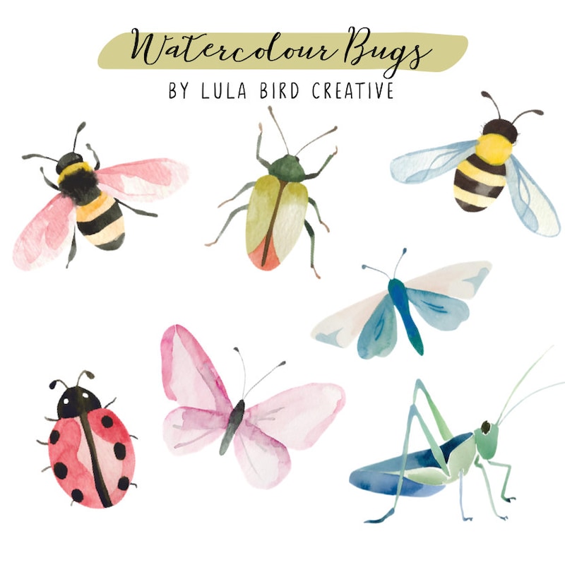 Bug Clipart - Etsy