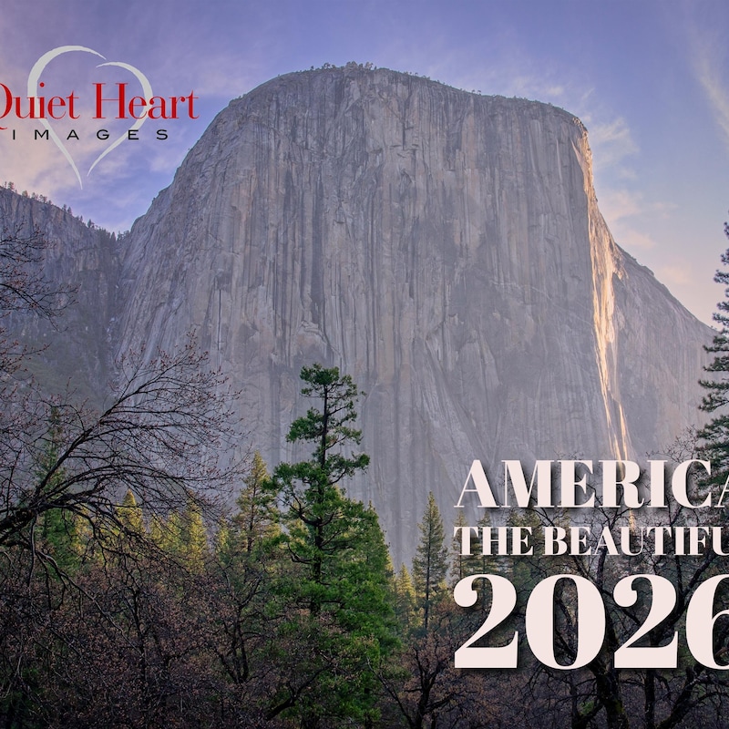 Feature Calendar - Etsy