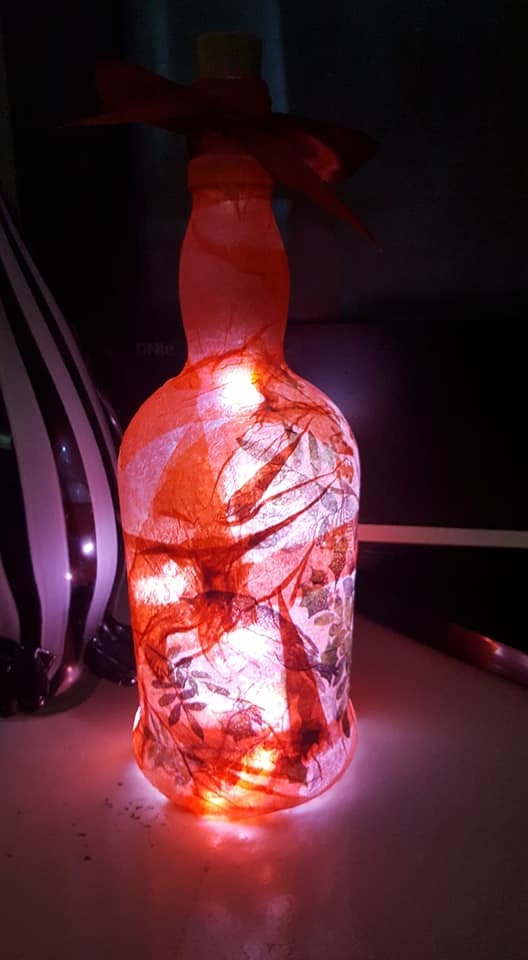 Red Robin Bottle Lights / Ideal Gift - Etsy