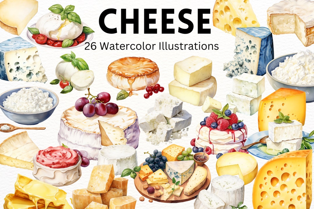 Watercolor Cheese Clipart, Illustrations for Cheese Charcuterie Boards ...