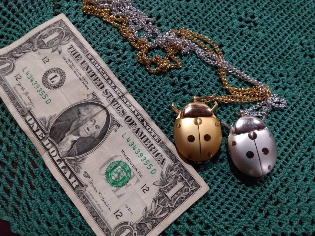 Pair of Ladybug Watch Necklaces - Etsy