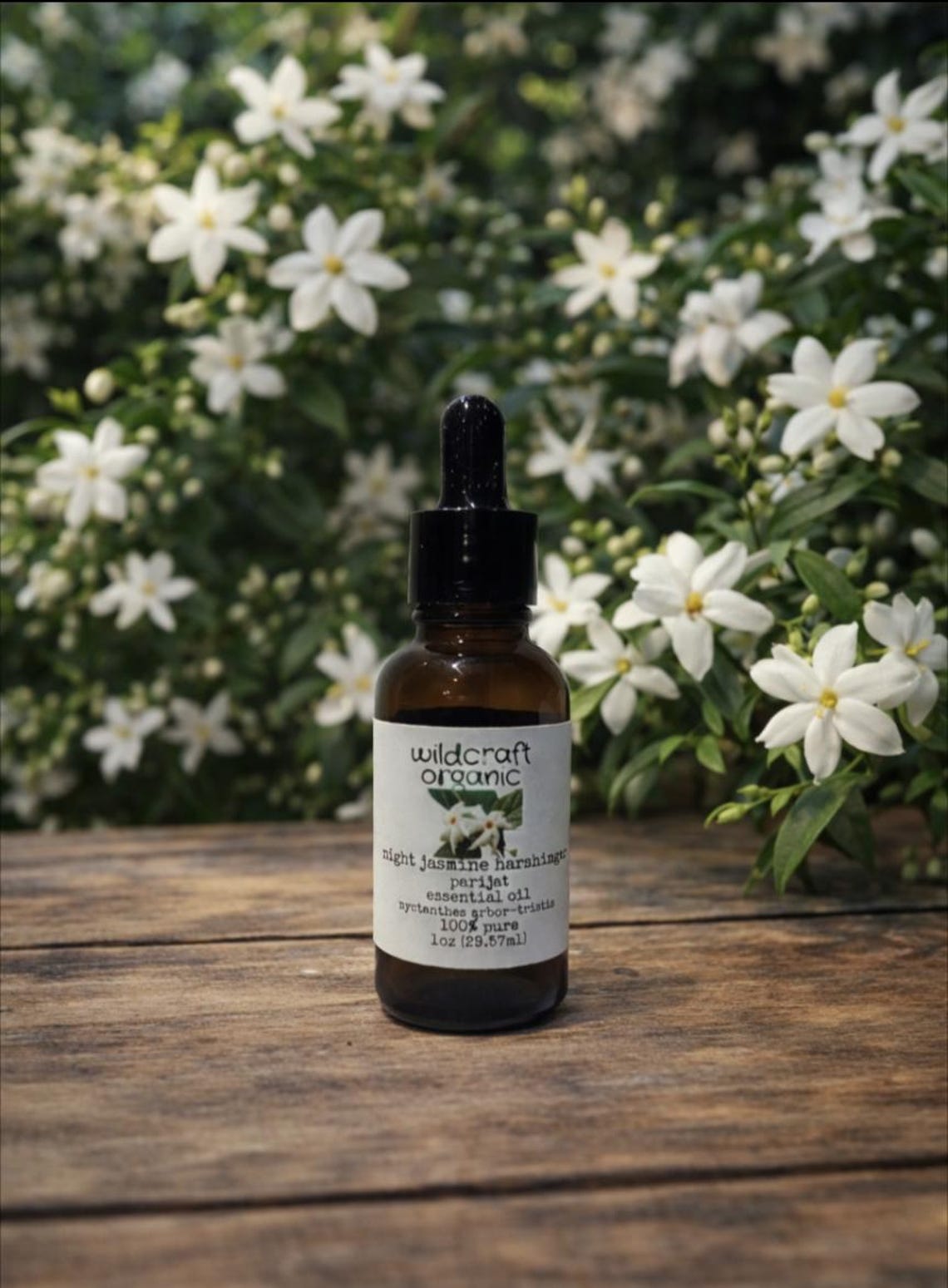 Organic Night Jasmine Essential Oil | Harshingar, Parijat, 100% Pure ...