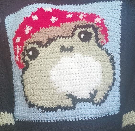 The FROG SWEATER Crochet Pattern Pdf | Cute Comfy Sweater With Puff ...
