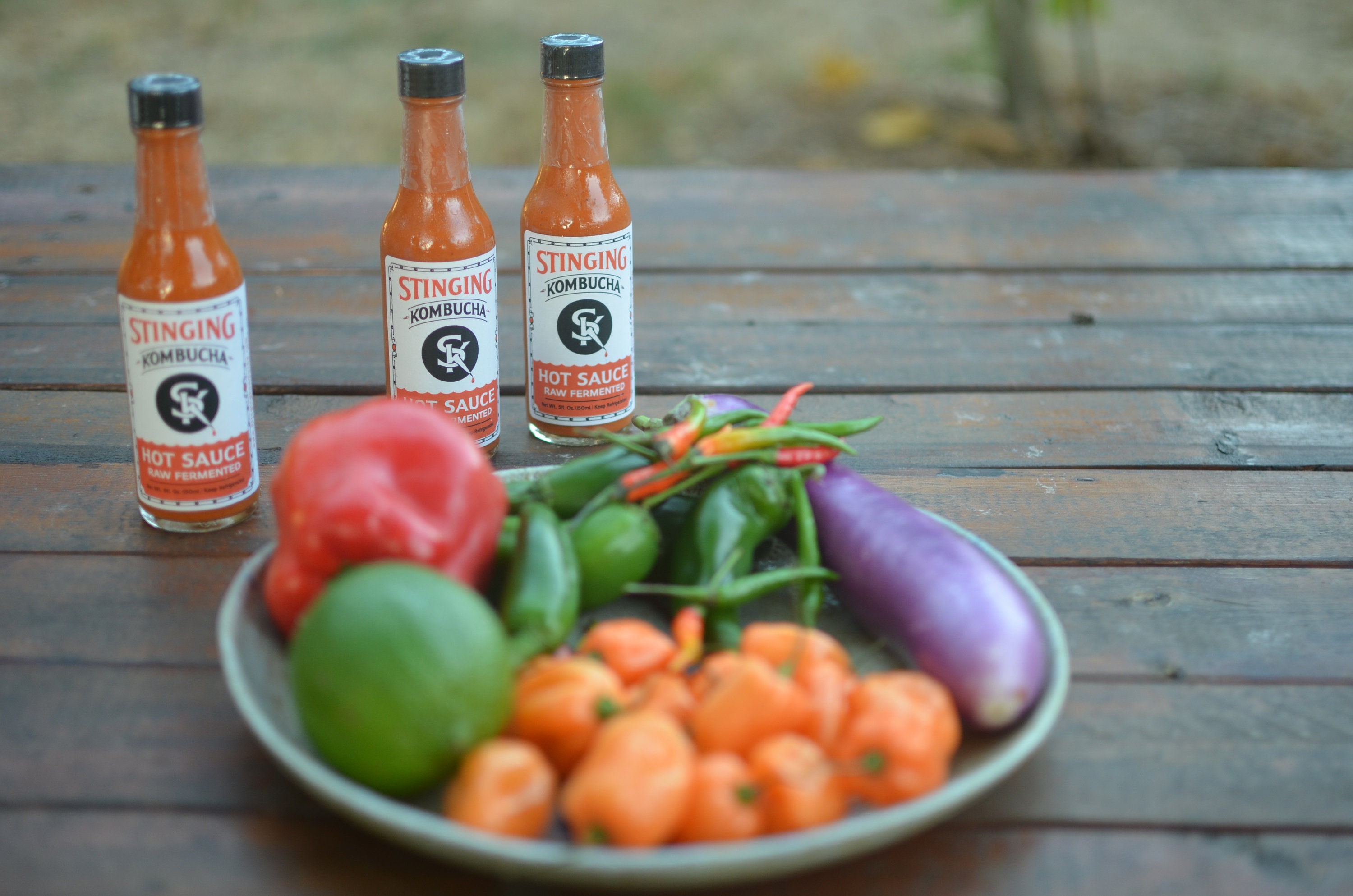 Kombucha & Moringa Hot Sauce Gift Pack (2 Bottles). Made With Love! - Etsy