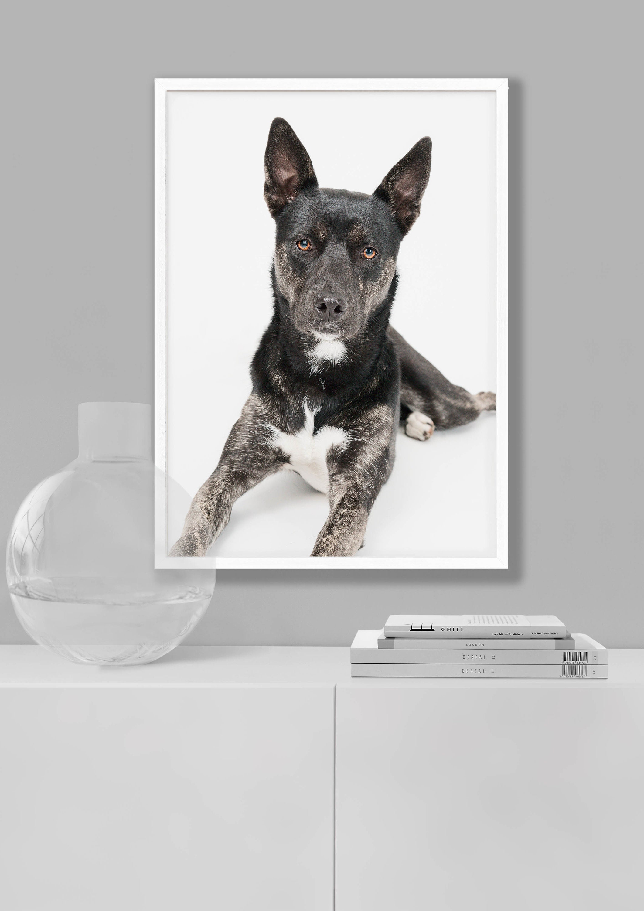 Black Dog Portrait Fine Art Photographic Print Veterinary - Etsy