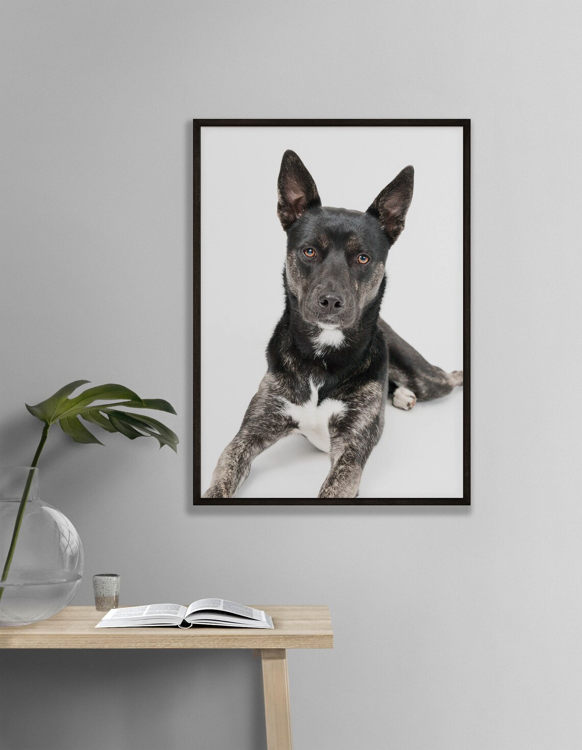 Black Dog Portrait Fine Art Photographic Print Veterinary - Etsy