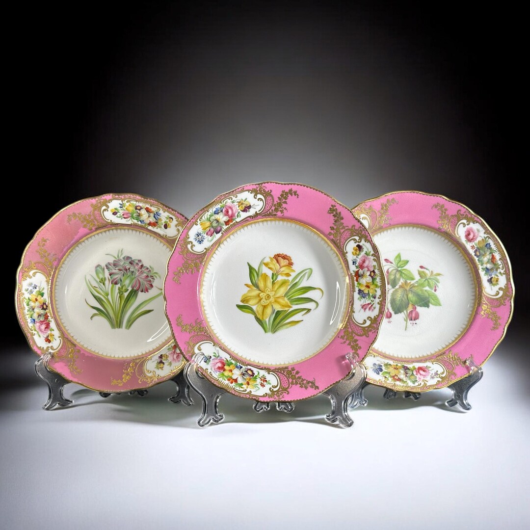 Set of 3 Coalport ‘sèvres Style’ Porcelain Plates – Hand-painted ...