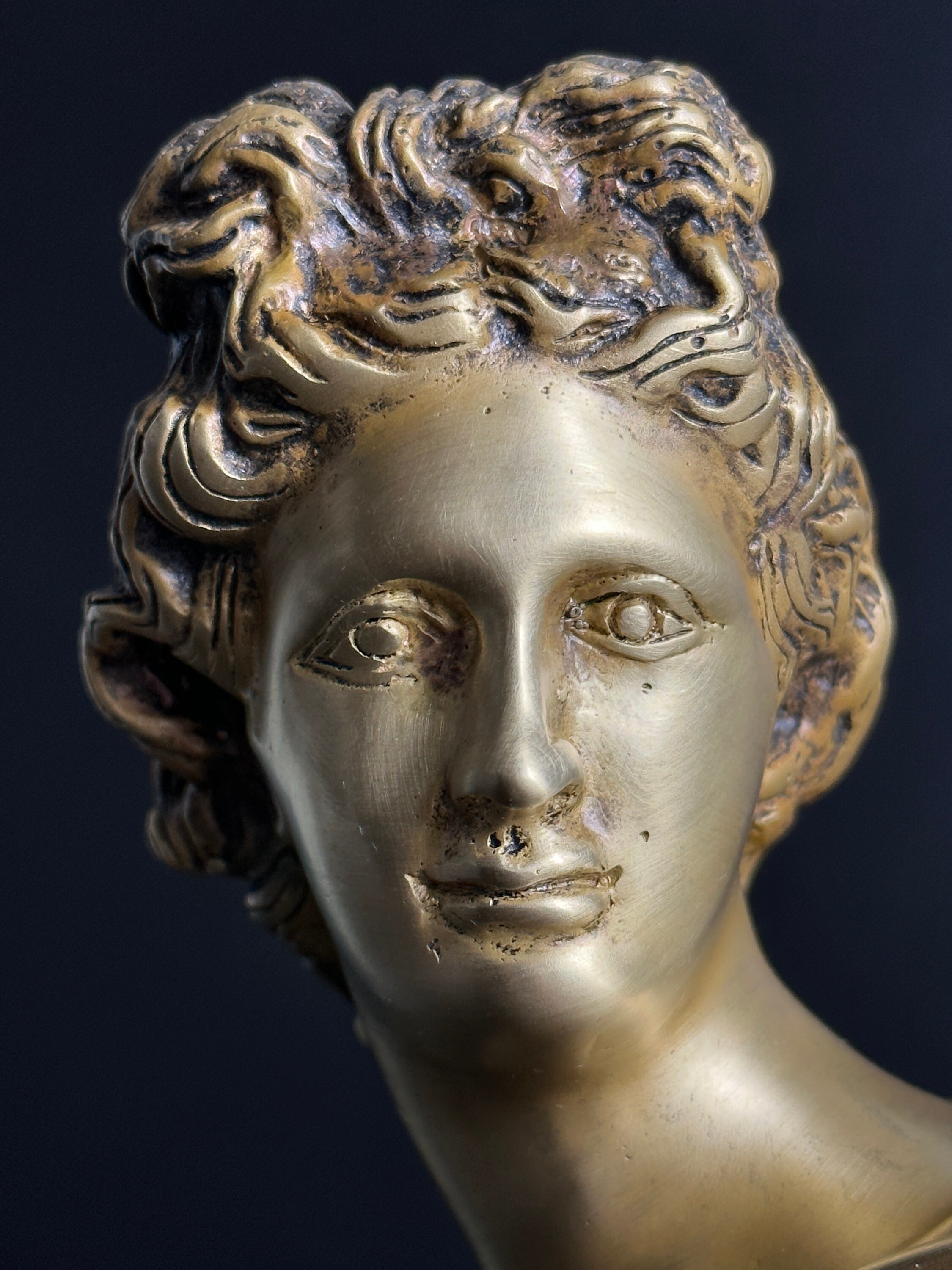 19th Century, Bronze Bust Depicting the Apollo Del Belvedere - Etsy