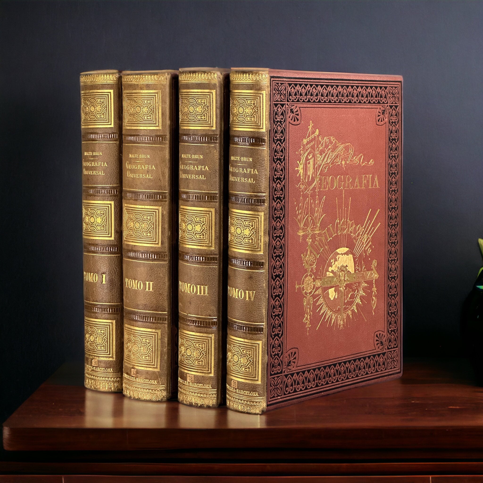 1878-1883 New Universal Geography. 4 Volumes. A Very Rare Publication ...