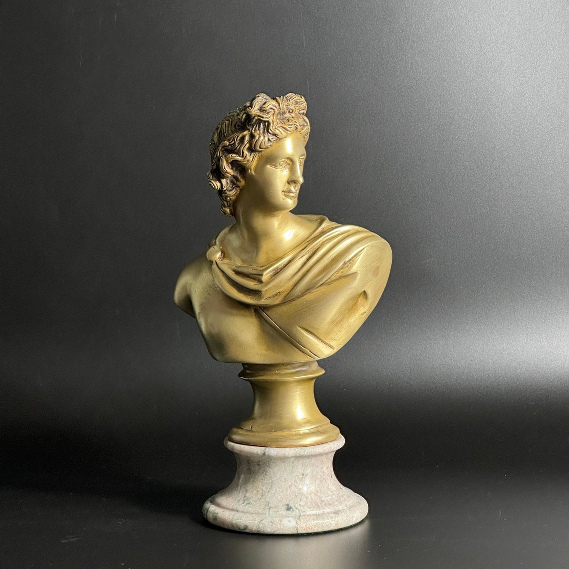 19th Century, Bronze Bust Depicting the Apollo Del Belvedere - Etsy