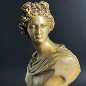 19th Century, Bronze Bust Depicting the Apollo Del Belvedere - Etsy