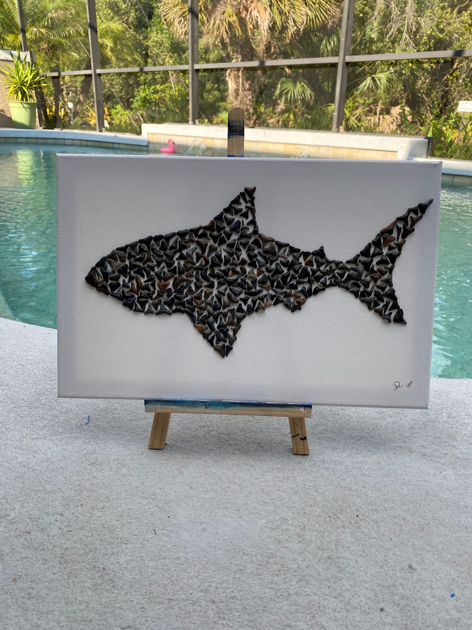 Shark Tooth Art - Etsy