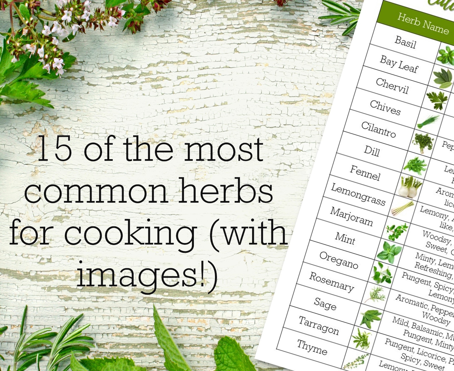 Culinary Herbs Reference Chart Printable Herb Guide Kitchen | Etsy
