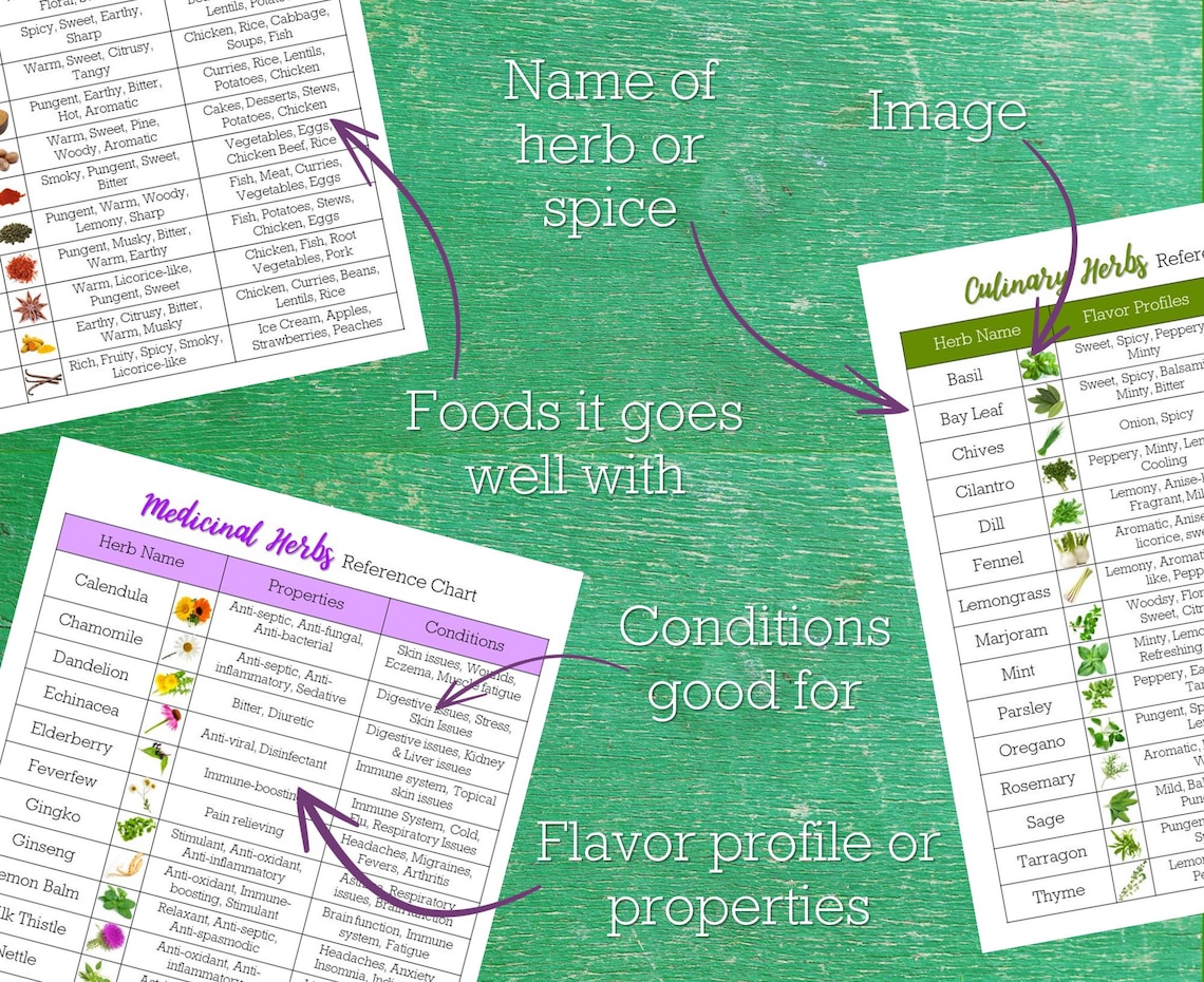 Herbs and Spices Reference Chart Bundle, Spices and Herbs, Cooking ...