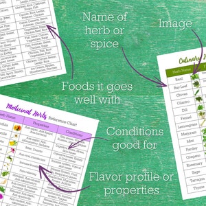 Herbs and Spices Reference Chart Bundle, Spices and Herbs, Cooking ...