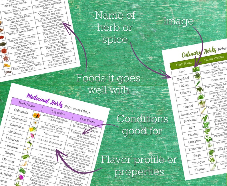 Herbs and Spices Reference Chart Bundle, Spices and Herbs, Cooking ...