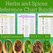 Herbs and Spices Reference Chart Bundle, Spices and Herbs, Cooking ...