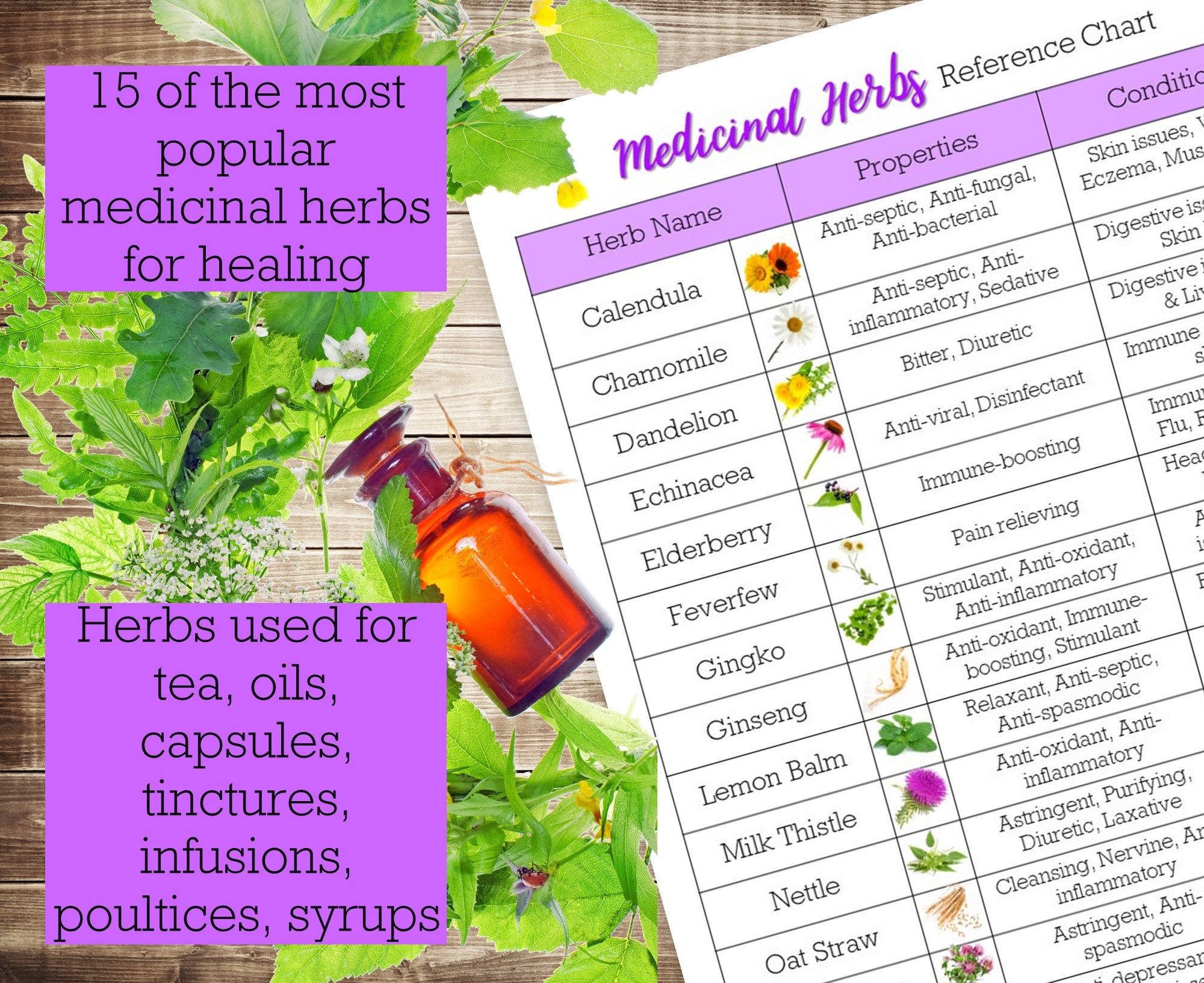 Medicinal Herbs Reference Chart List of Herbs Printable - Etsy