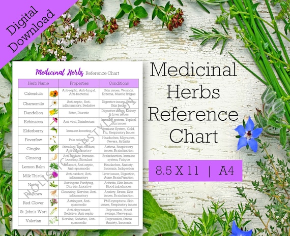 Medicinal Herbs Reference Chart List of Herbs Printable - Etsy