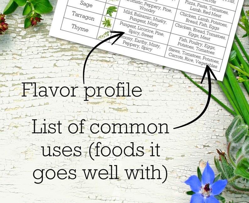Culinary Herbs Reference Chart, Printable Herb Guide, Kitchen Herbs ...