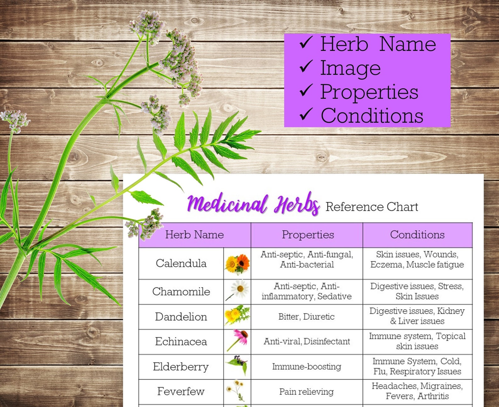 Medicinal Herbs Reference Chart, List of Herbs Printable, Herbal ...
