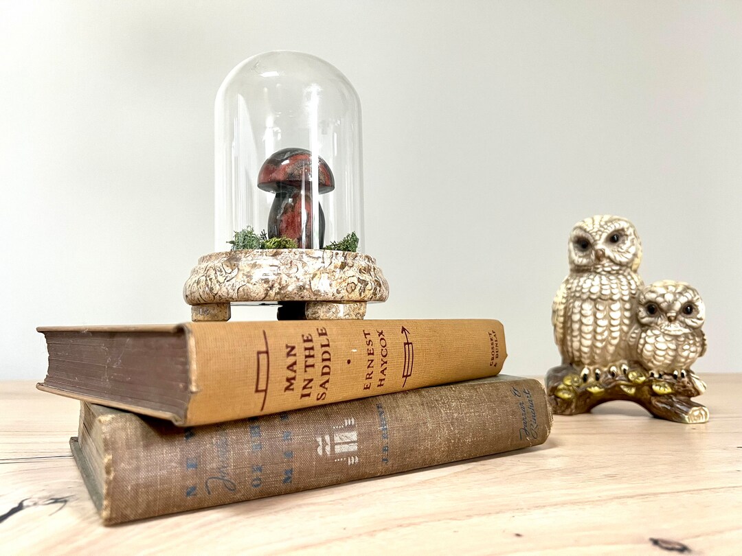 Small Glass Cloche With Stone Base - Etsy